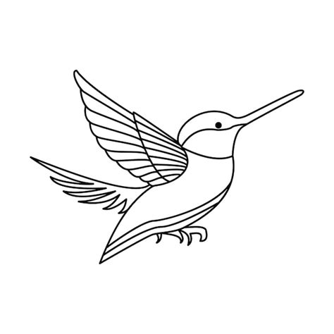 Premium Vector Hummingbird Single Continuous One Line Out Line Vector Art Drawing And Tattoo