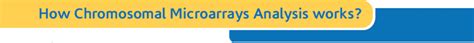 Advanced Cytogenetic Technique Microarray Testing Dr Lal Pathlabs Blog
