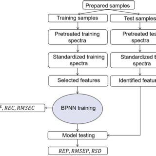 Modeling Process Of A Multivariate Regression Model Download Scientific Diagram