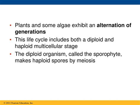 Meiosis And Sexual Life Cycles Ppt Download