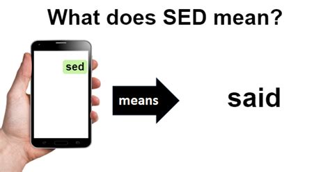 SED What Does SED Mean
