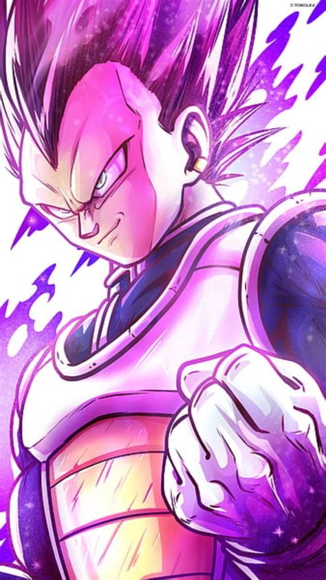 Vegeta Ssgss Artofit