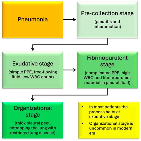 A Comprehensive Review Of Pediatric Necrotizing Pneumonia