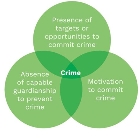 Chapter 5 Flashcards Quizlet