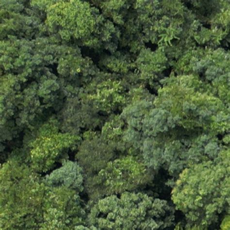 Mix Classification Dataset By Bamboo