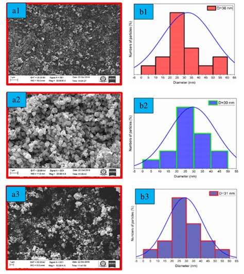 A1 A3 Sem And B1 B3 Particles Size Distribution Of Biosynthesized Download Scientific