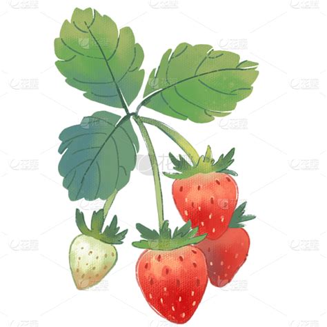手绘小清新草莓插画元素