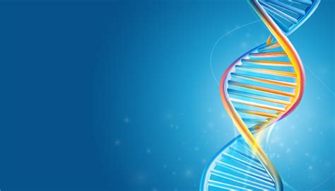 A Newly Developed Single Cell Multimodal Deep Clustering Software Uses