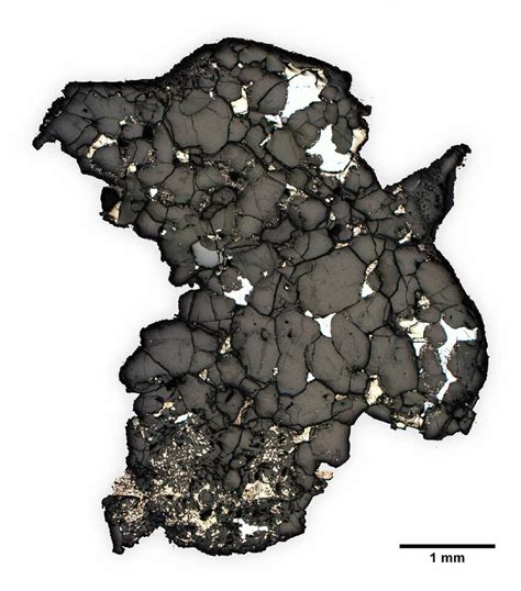 6 Photomicrograph Of The Polished Thin Section Fro 0300101 Reflected