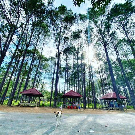 បឹងគីរីរម្យ Lumhae Kampong Speu Resort Phkasla Partner