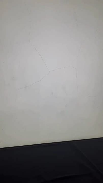 [video] socrates fannel posted on linkedin