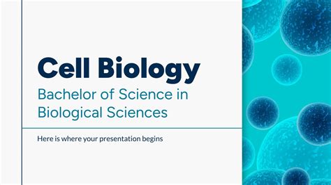 Ppt Prokaryote Cell Structure And Function Powerpoint Presentation