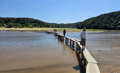 양진오의 대구경북의 집이야기 외나무다리를 건너 무섬으로