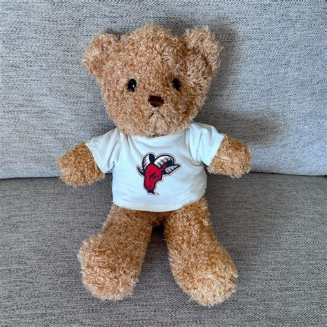 Custom College Jellycat Etsy