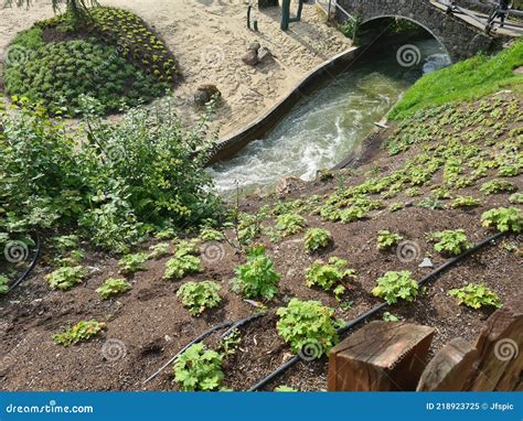 Spektakuläre Schöne Wildwasserrutsche Stock Image Image Of Summer