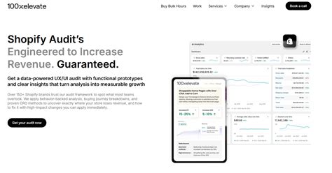 Shopify Audit 100xelevate