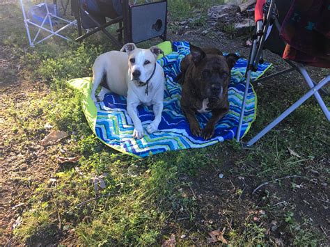 103 Best Tig Ol Images On Pholder Volkswagen Justrolledintotheshop