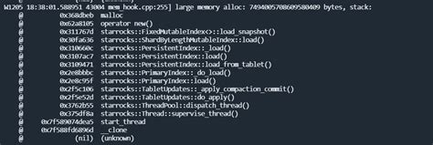 同步大量数据后be挂，多次重启失效，large Memory Alloc 7494005708609580409 Bytes Stack