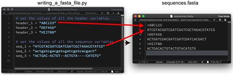 Python For Biologists Jun Inoue