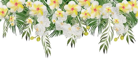 손으로 그린 꽃과 열대 식물의 잎 수채화 이국적인 녹색 열대 우림 단풍과 흰색 난초 흰색 배경에 Frangipani와 원활한 라인 수평 패턴 꽃 식물에 대한 스톡 벡터 아트