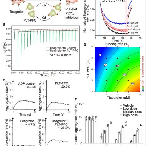 Functional Protein Characterization Of Platelet Mimicking Download Scientific Diagram