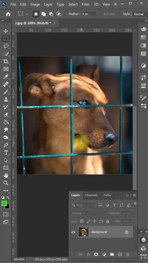Photoshop Tutorial Artofit