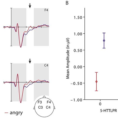 This Figure Shows The Grand Average Of The Erp Responses To Happy