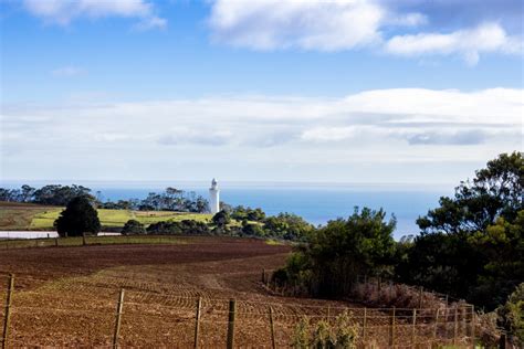 무료 이미지 경치 바다 연안 나무 잔디 수평선 구름 하늘 들 언덕 농업 평원 농촌 지역 5184x3456 148980 무료 이미지