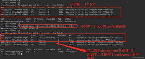 十一、kubernetes核心技术label详解、实例kubectl Label Csdn博客