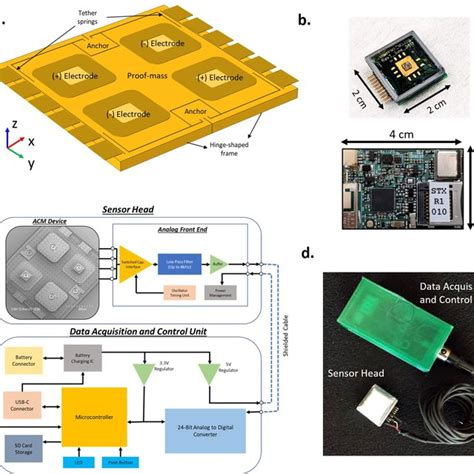 ACM Sensor And System A Schematic Image Of ACM Design Structure With Download Scientific