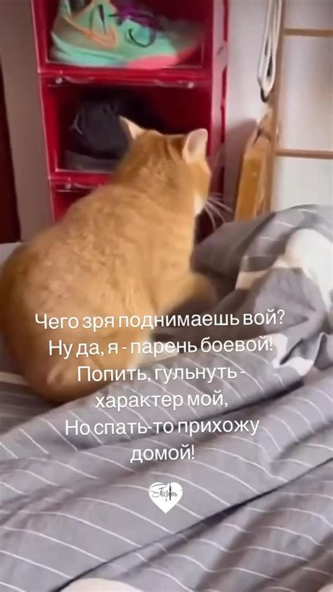 Пишу стихи
