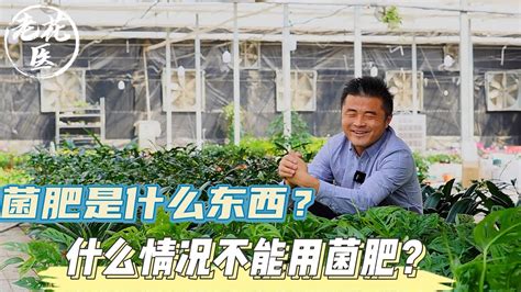 养花必懂小知识菌肥是什么东西什么情况不能用菌肥养花巧妙小知识Tips and tracks for Bacterial