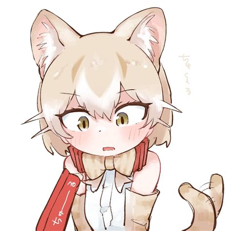 Cat Kemono Friends Drawn By Nyctereutes Danbooru