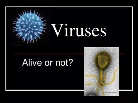 PPT Viruses PowerPoint Presentation Free Download ID 2460174