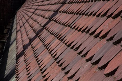 무료 이미지 비행 건축물 목재 잎 건물 시티 선 교회에 고딕 지붕 이기 대칭 본당 멍크스터 울름 대성당 유럽 건축 4752x3168