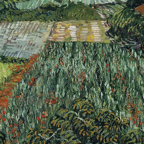 Картина Поле с маками купить репродукцию на холсте Галерея Бэнкси