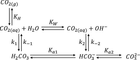 Co2 Reactions And Equilibrium With The Cathode And Anode Of The Hemfc Download Scientific
