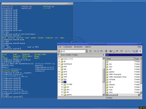 Window Managers For X FVWM