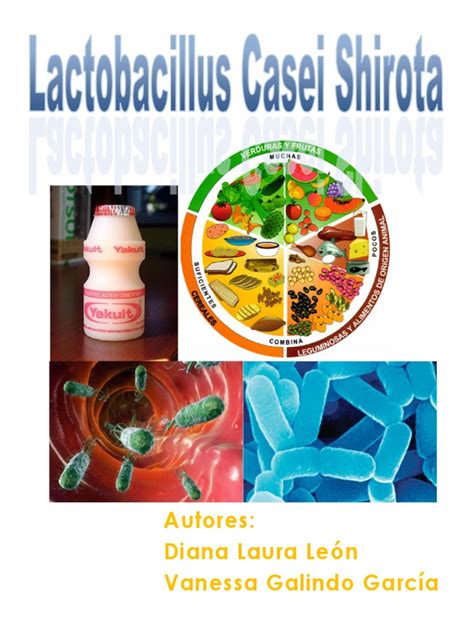 004 Lactobacillus Casei Shirota Pdf Productos Lácteos Tripa Flora