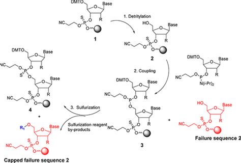 Solid Phase Synthesis Of Phosphorothioate Oligonucleotides Using Sulfurization Byproducts For In