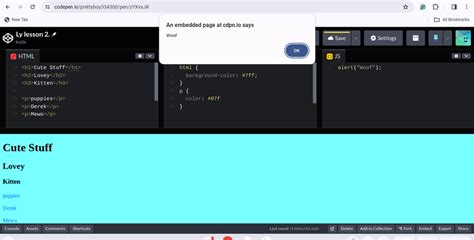 Boyfriend Teached Me Some Code I Typed The Code In But He Guided Me