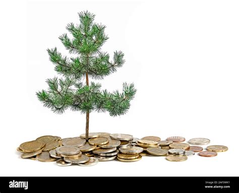 Pine Tree Growing From Pile Of Coins Stock Photo Alamy