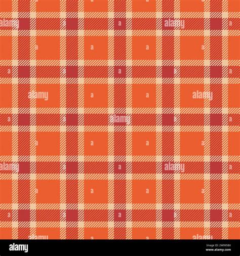 Funky Check Plaid Textile Layout Pattern Tartan Vector Hounds Tooth Seamless Fabric Texture