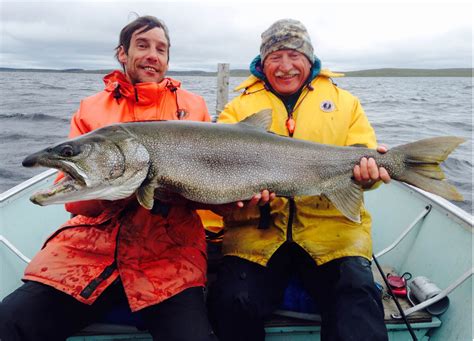 Petersons Point Lake Lodge Trophy Lake Trout And Arctic Grayling