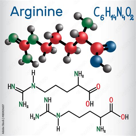 Arginine Arg R Amino Acid Molecule It Is Used In The Biosynthesis