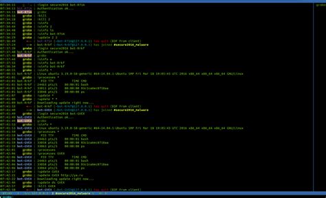 New Linux Trojan Discovered Coded In Mozillas Rust Language Softpedia