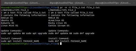 How To Display Two Files Side By Side In Linux