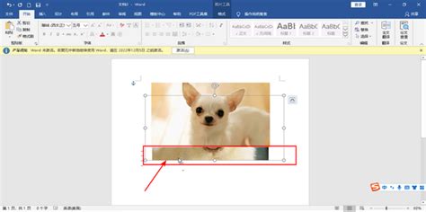 为什么图片在word里面只显示一部分 360新知