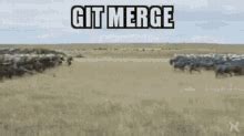Git Merge Git Merge Gitmerge Discover Share Gifs