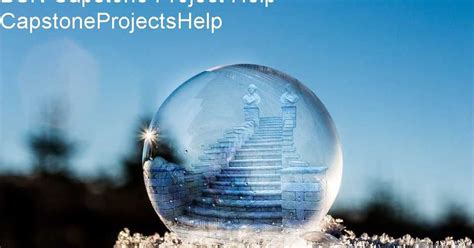 Bsn Capstone Project Help